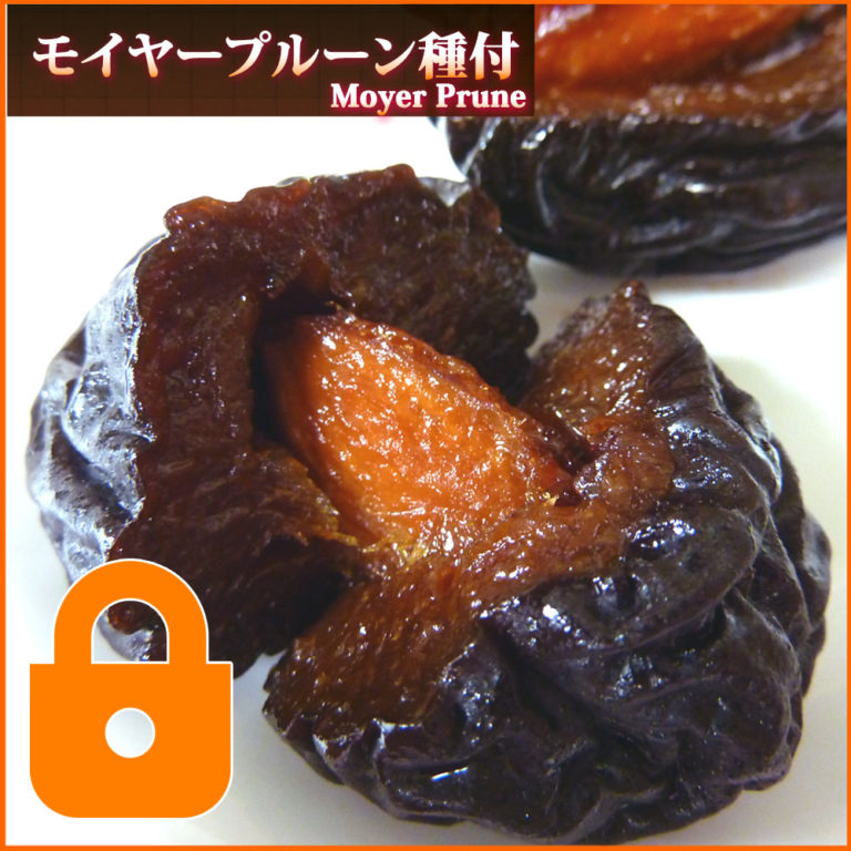 商品一覧 | Tree Mark ツリーマーク